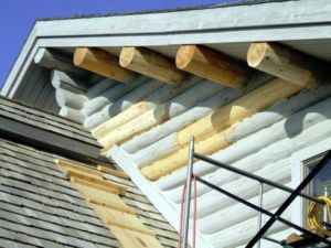 Replacing Logs | Half Logs, Whole, Vertical Turned, Crowns and More ...