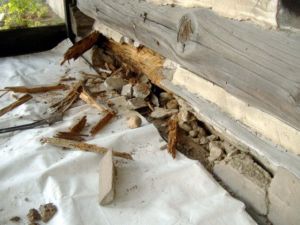 Log Home Problems l WI | MN | Edmunds and Company
