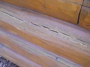 Log Rot Repair Services | Dry Rot | Rotten Posts | Edmunds and Company