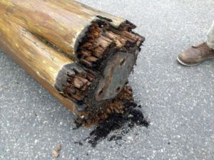 Log Rot Repair Services | Dry Rot | Rotten Posts | Edmunds and Company