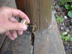Log Rot Repair Services | Dry Rot | Rotten Posts | Edmunds and Company