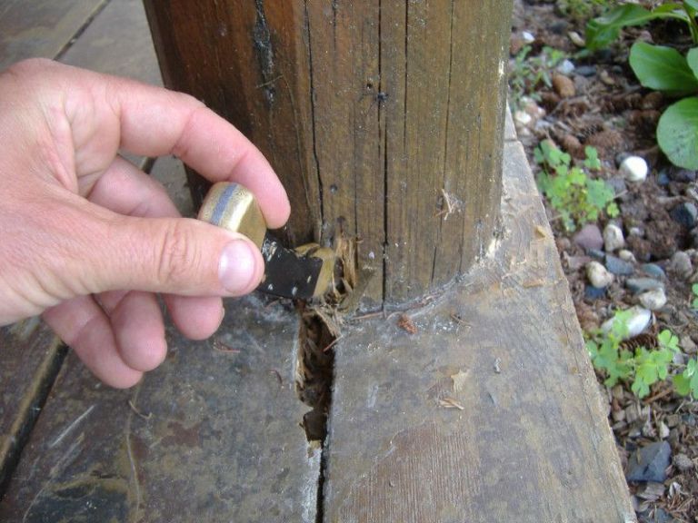 Log Rot Repair Services | Dry Rot | Rotten Posts | Edmunds and Company