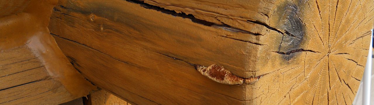 Log Rot Repair Services | Dry Rot | Rotten Posts | Edmunds and Company